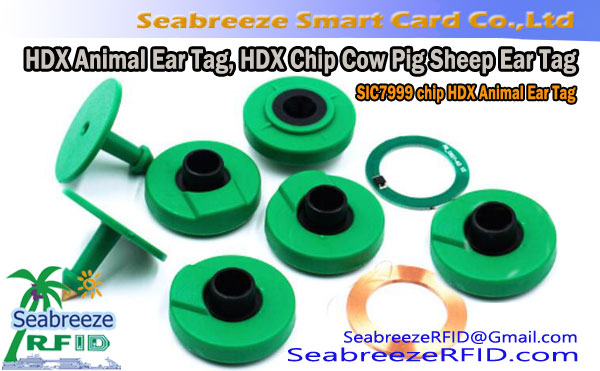 RFID HDX Animal Ear Tag, SIC7999 Chip HDX Animal Ear Tag, HDX Chip Cow ...